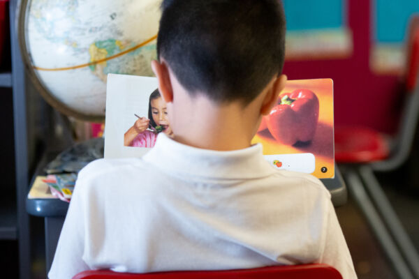 Ehri’s Phases of Reading Development (part 2) - Keep Indiana Learning